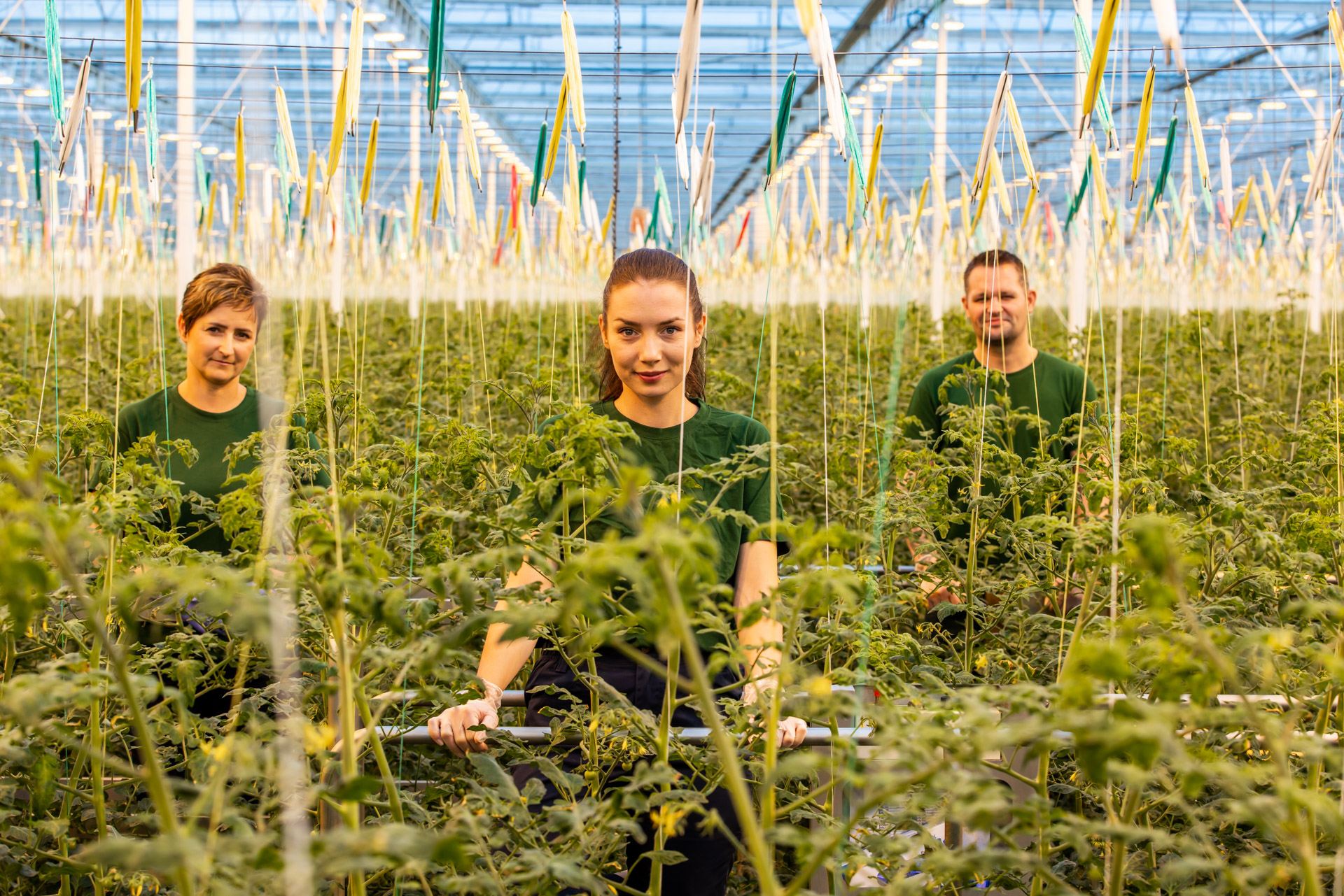 Agro Care - Panorama Studios