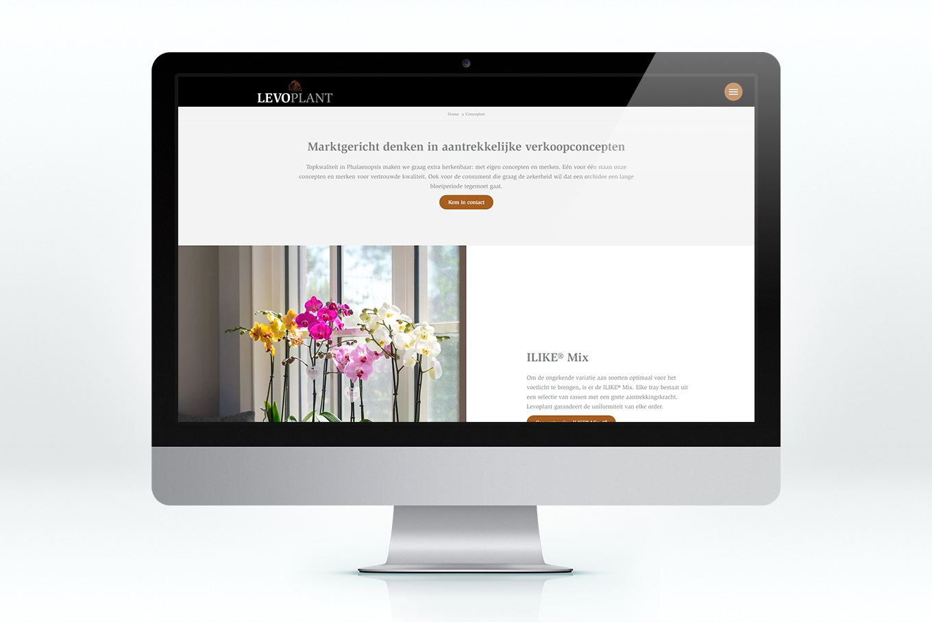 Levoplant - Panorama Studios